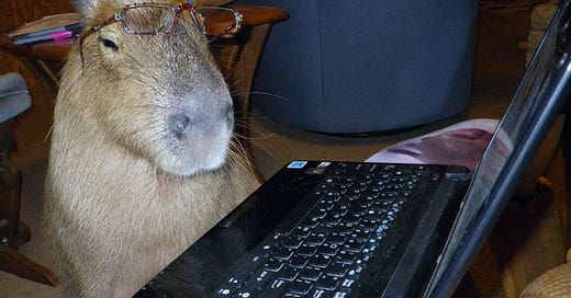 design type | paulina | Substack