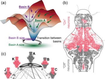 Complexity Thoughts | Manlio De Domenico | Substack