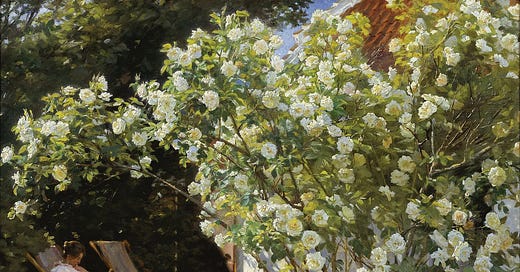 Tommy Dixon | Substack