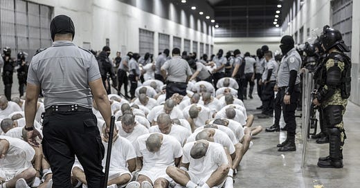 Nightcap | Laura Bassett | Substack