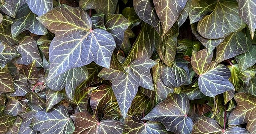 Beyond the Studio with Jocelyn Elizabeth | Substack