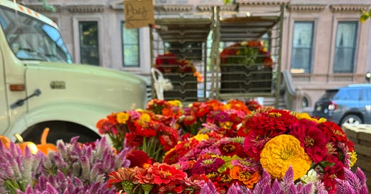 Reading & Eating | Shauna Niequist | Substack