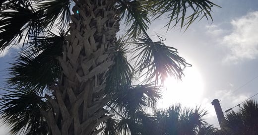 Rise and Shine Kids Club | Substack