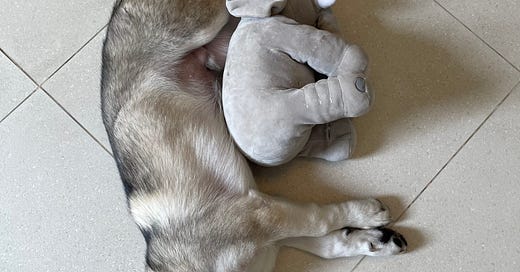 Vietnam Weekly | Michael Tatarski | Substack