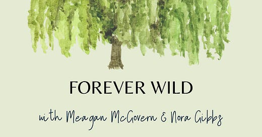 Meagan’s Substack | Meagan McGovern | Substack