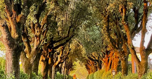 Living Elsewhere | Gregory Garretson | Substack