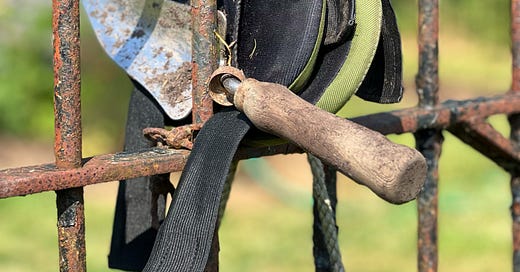 Common Farm Flowers by Georgie Newbery | Substack