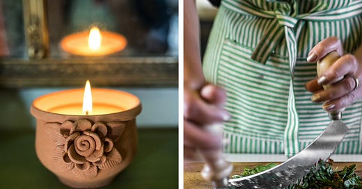 The Elliott Homestead Newsletter | Shaye Elliott | Substack