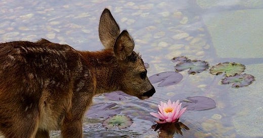 Yours Truly, | Serena | Substack