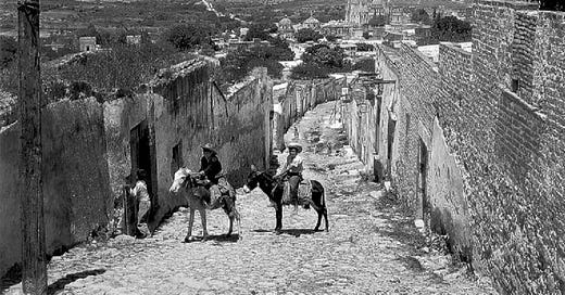 The Adder in the Churchyard Wall | Peter Grey | Substack