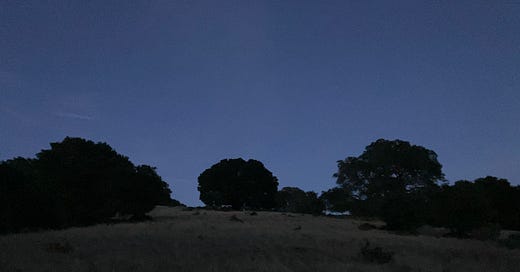 Bell Tower | Sommer Schafer | Substack