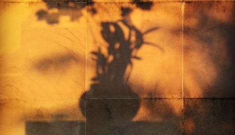 afterthoughts | vanz | Substack