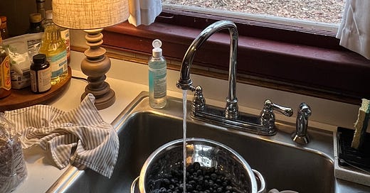 Olivia’s Substack | Olivia Muenter | Substack