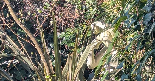 Striking 13 | Ian Dunt | Substack