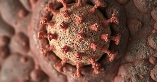 After the Apple | Eric Brende | Substack