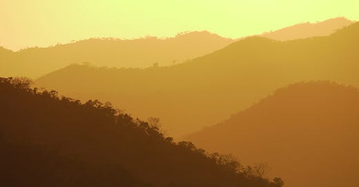 The Predators versus The People | Mees Baaijen | Substack