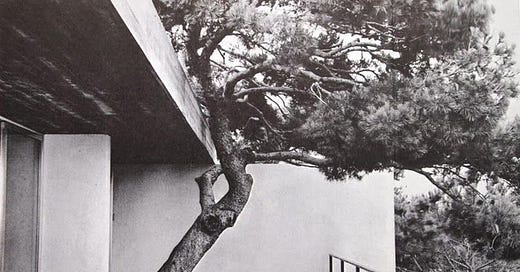 Practice Round | Preslea | Substack