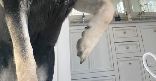 J.F. Riordan; Reflections on a Life in Exile | J. F. Riordan | Substack