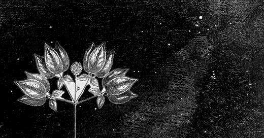 The Manifold Substack | Substack