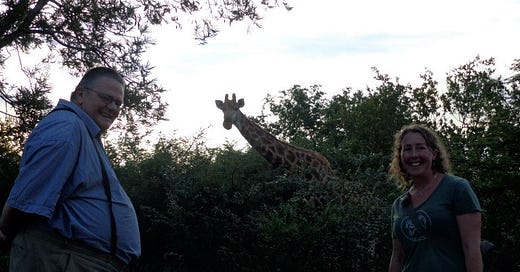 Touching the Elephant | Kendall Lamb | Substack