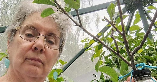 Leaf, Root & Fruit | Duncan Cocking | Substack