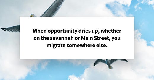 Further: Live Long and Prosper | Brian Clark | Substack