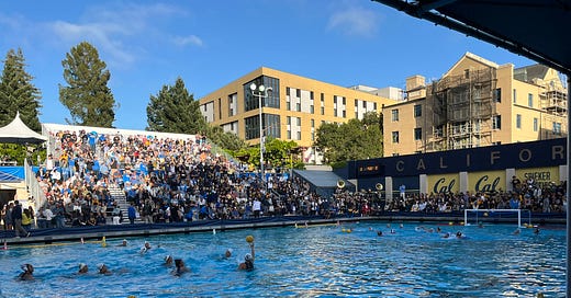 Pool Reflections | Zac Monsees | Substack