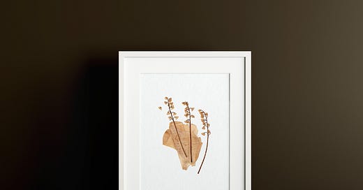 Starhan Garden | Substack