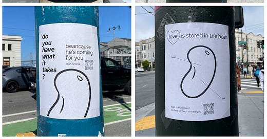 𝓇𝒶𝓌 & 𝒻𝑒𝓇𝒶𝓁 | Danielle | Substack