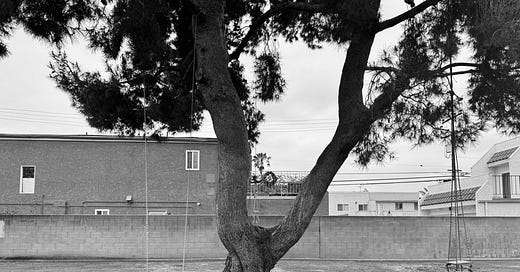 The Deep | C.S. Mee | Substack