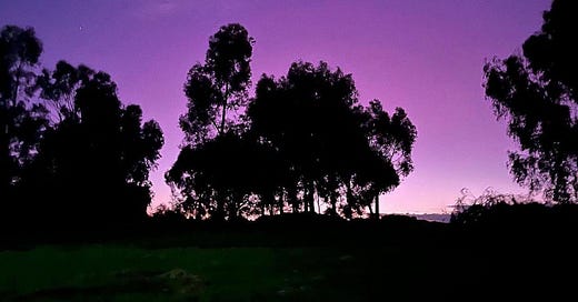 The Hood Healer’s Substack | Substack