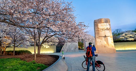 2026 Cherry Blossom Watch | David Coleman | Substack