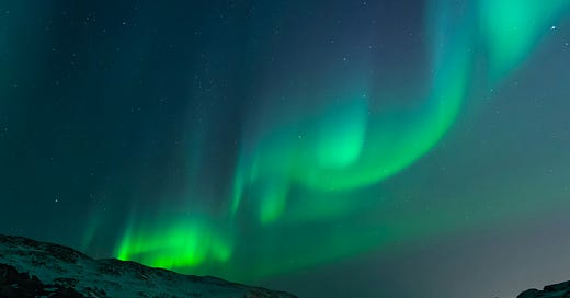 Wisdom Dwelling's Weekly Highlights | Wisdom's Dwelling | Substack