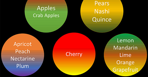 Leaf, Root & Fruit | Duncan Cocking | Substack