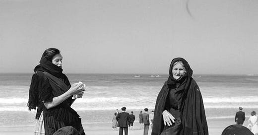 The Orange & Bee | Substack