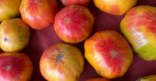 House of Green | Alexandra Fasulo | Substack