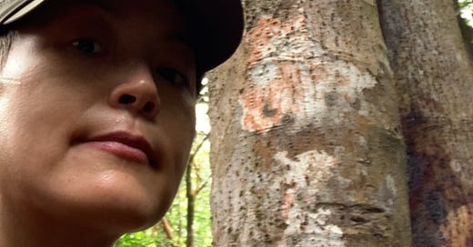 Denise Ho - 何韻詩 | Hocc | Substack