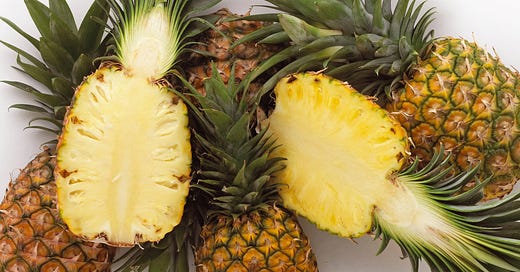 Shell’s Substack | Substack