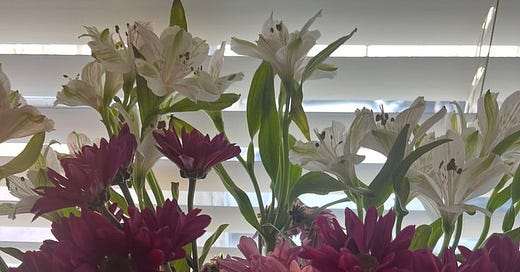 Oluyemisi’s Substack | Oluyemisi Bolarin | Substack