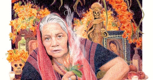 Messages from Sea & Cedar with Joanna Powell Colbert | Substack