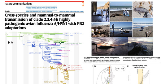 FOCAL POINTS (Courageous Discourse) | Peter A. McCullough, MD, MPH | Substack