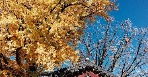 서울외계인 | Hochan Choi | Substack