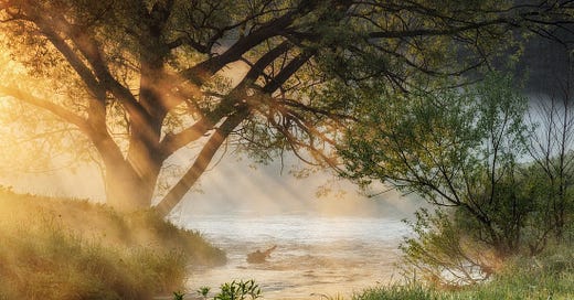 TRANSFORM with Marianne Williamson | Substack