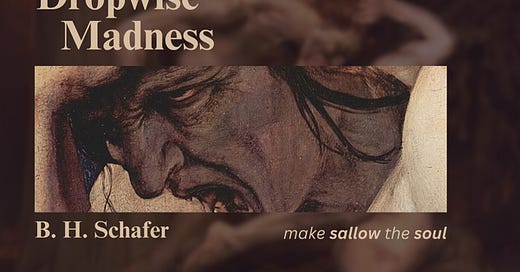 Schafer's Quill | B. H. Schafer | Substack