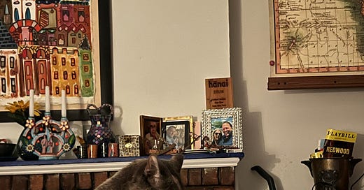 Ann’s Substack | Ann Hood | Substack