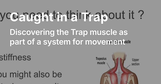 Body Organics Education- MoveMent | Body Organics - MoveMent | Substack