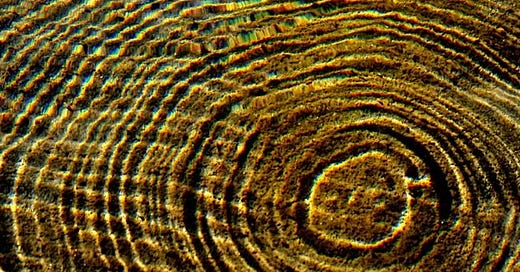 The Hood Healer’s Substack | Substack