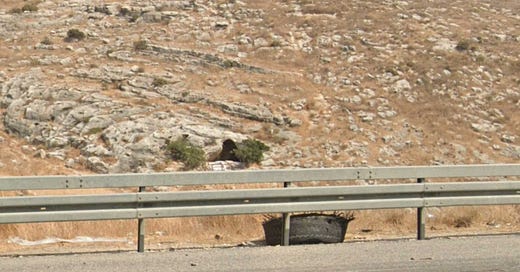 John Hawks | Substack