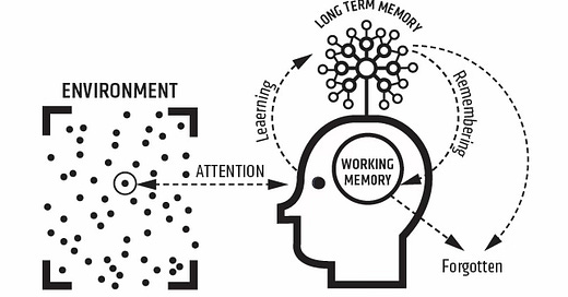 Sarah’s Substack | Sarah Cottinghatt | Substack