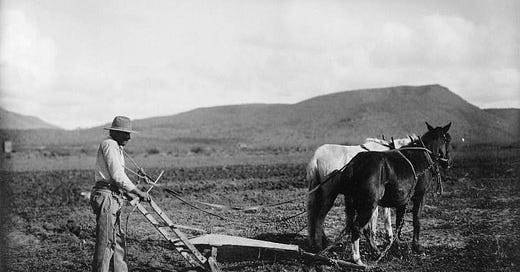 The Roots of Progress | Jason Crawford | Substack